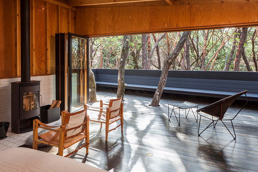 forest house | ENVELOPE